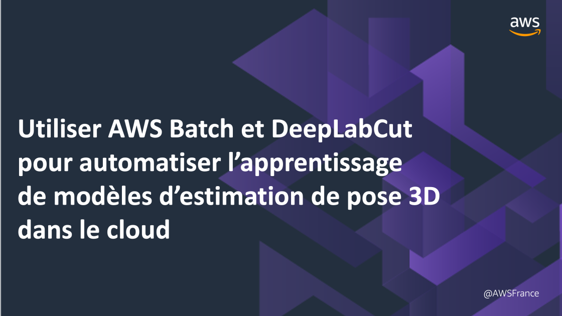 Utiliser AWS Batch et DeepLabCut pour automatiser l’apprentissage de modèles d’estimation de ...