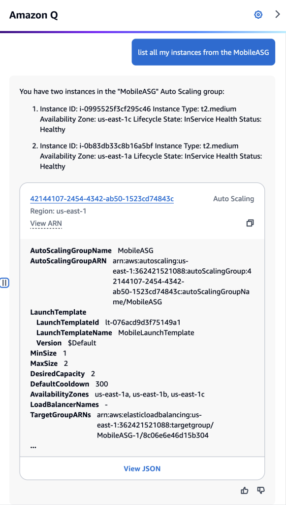 Chat about your AWS account resources with Amazon Q Developer | AWS ...