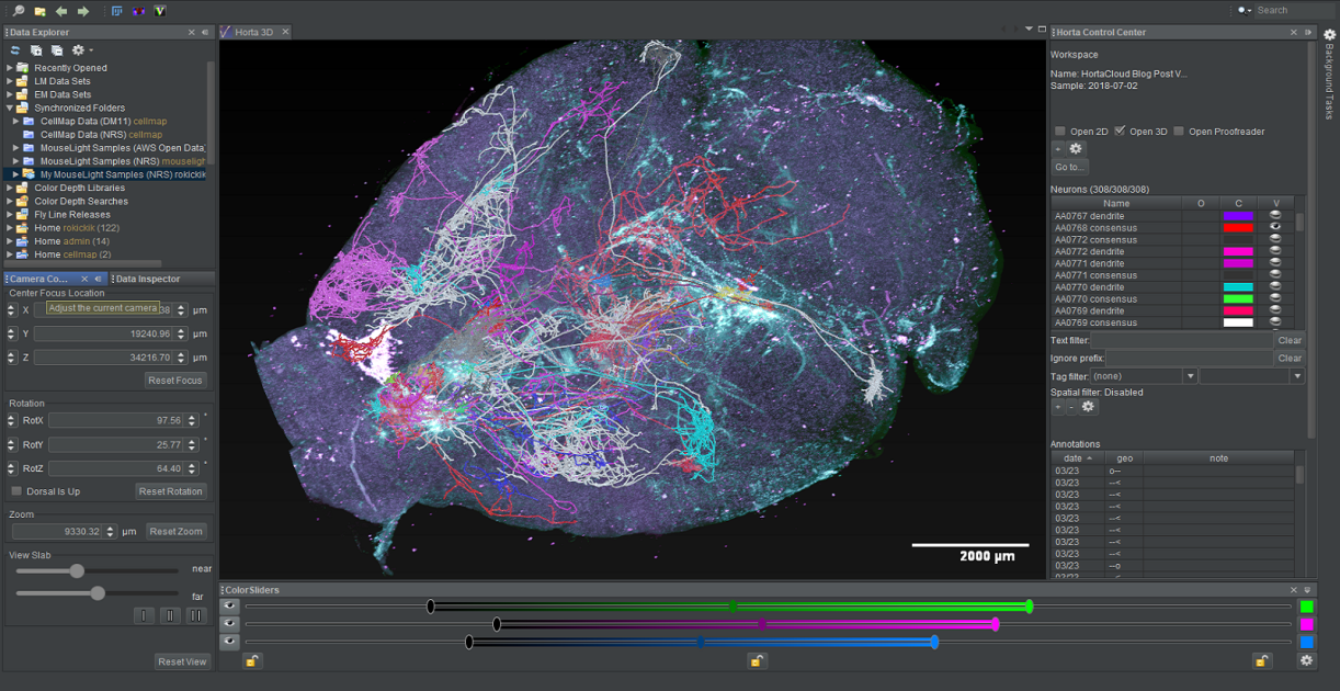 Collaborative Neuron Tracing on AWS | Desktop and Application Streaming