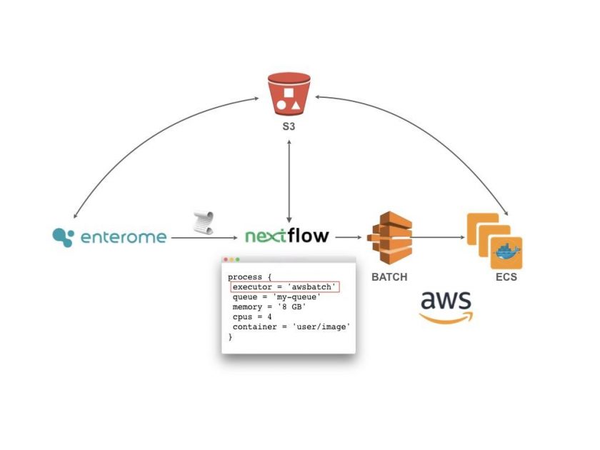 Drug Discovery and Biomarkers Development on the Human Gut Microbiome ...