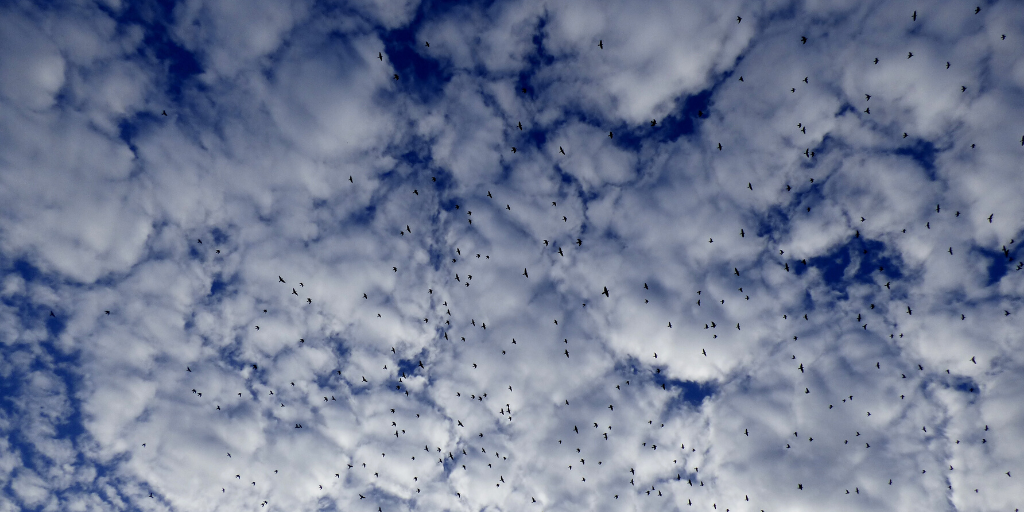 Defense Logistics Agency migrates five applications to AWS GovCloud (US ...