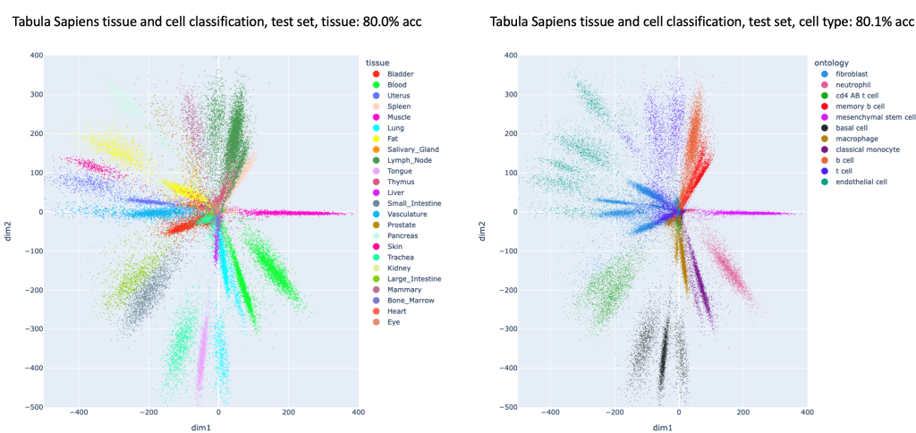 Fast queries of scRNAseq datasets with Amazon Athena | AWS for Industries